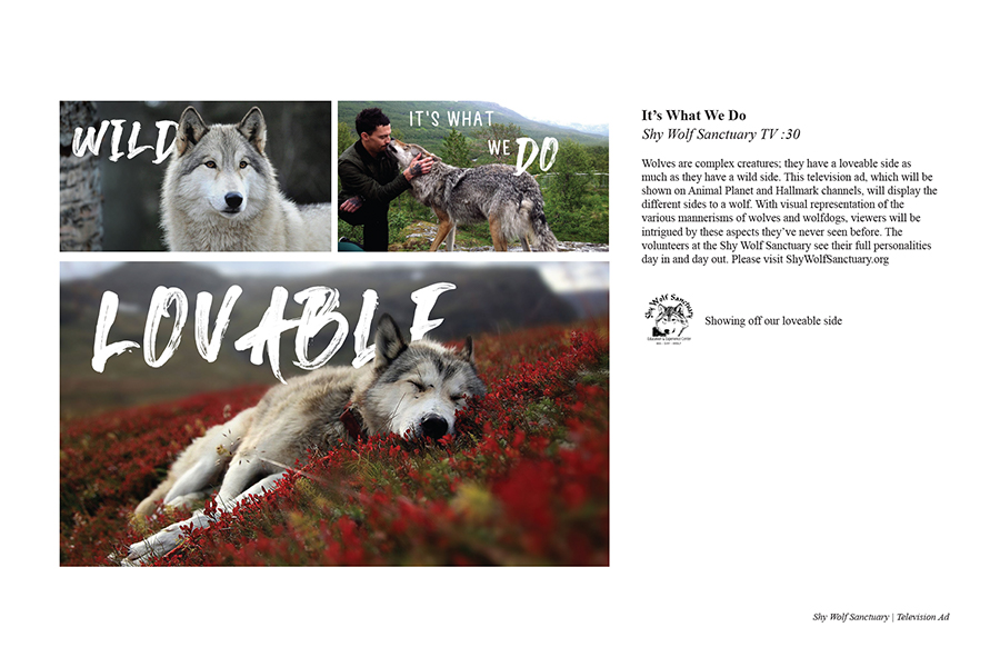 Home - Lilli Evonich