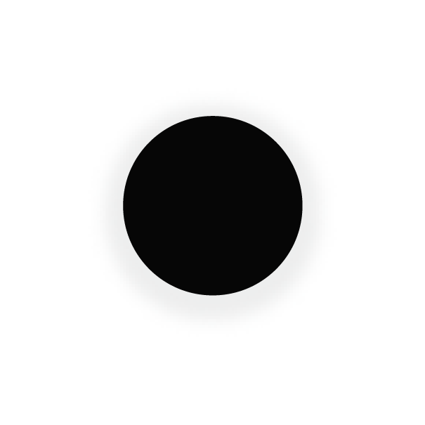 The Princess Steel - Lilli Evonich