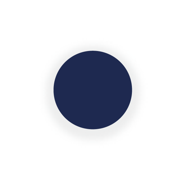 The Princess Steel - Lilli Evonich