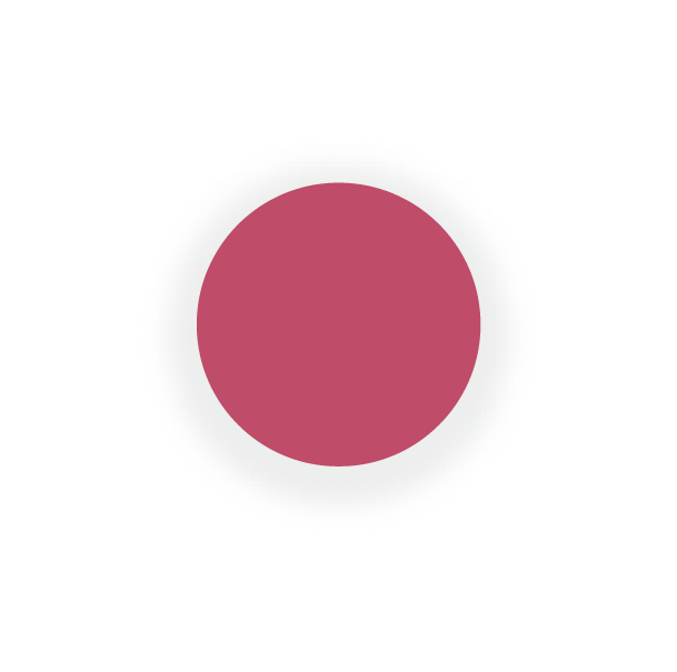 Chameleon Soda - Lilli Evonich